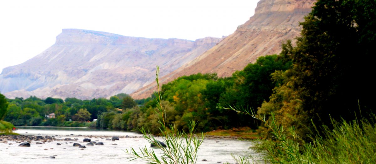 Palisade Basecamp: Western Colorado's Modern Camping Resort